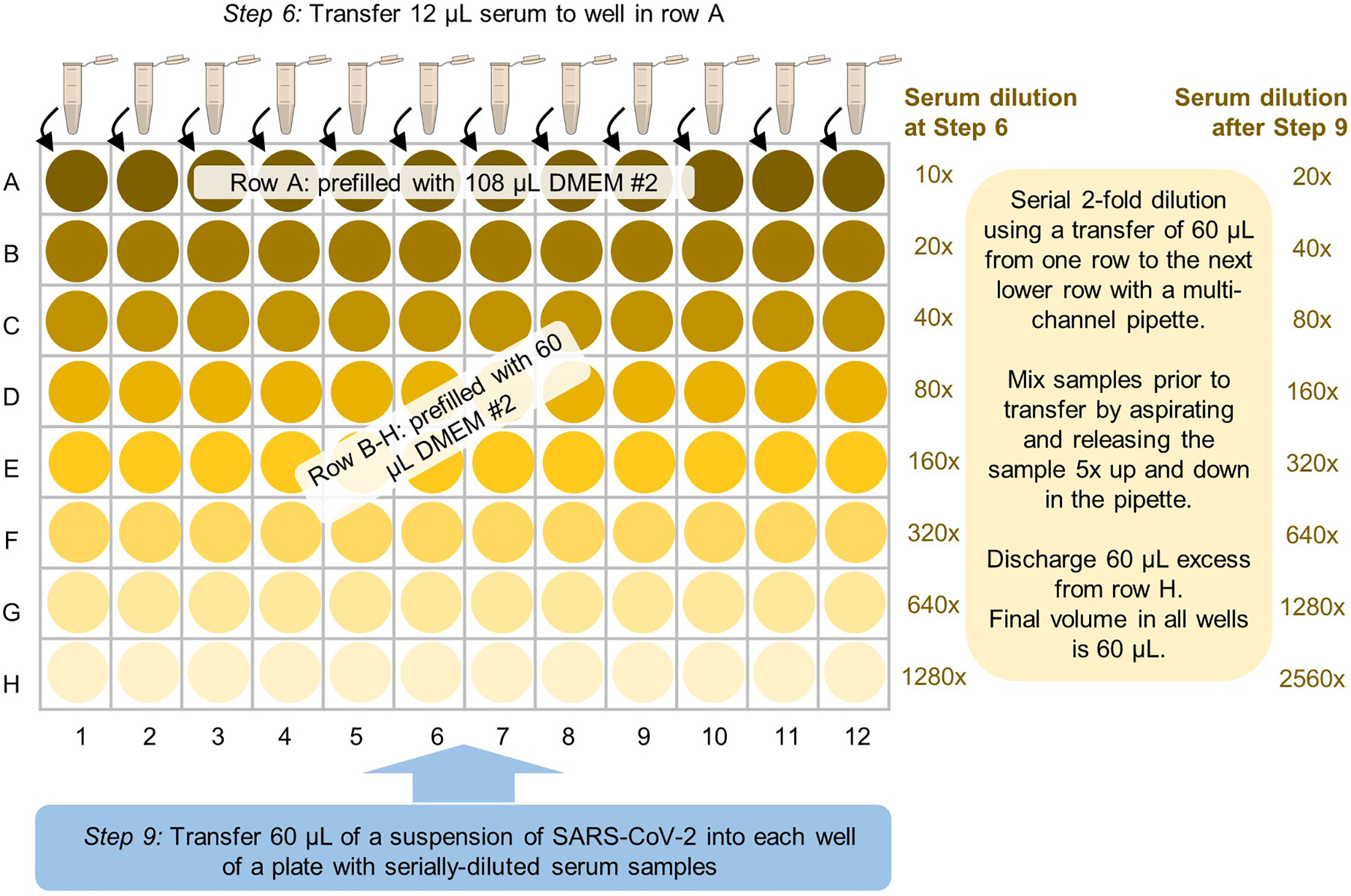 Cell Press: STAR Protocols