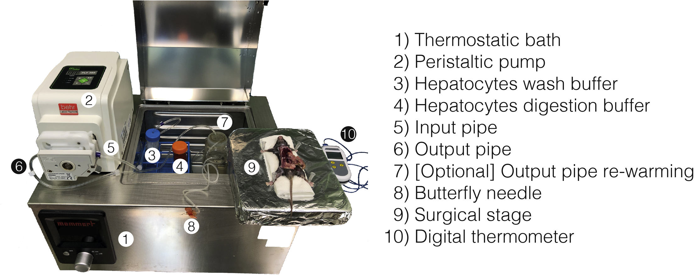 Cell Press: STAR Protocols