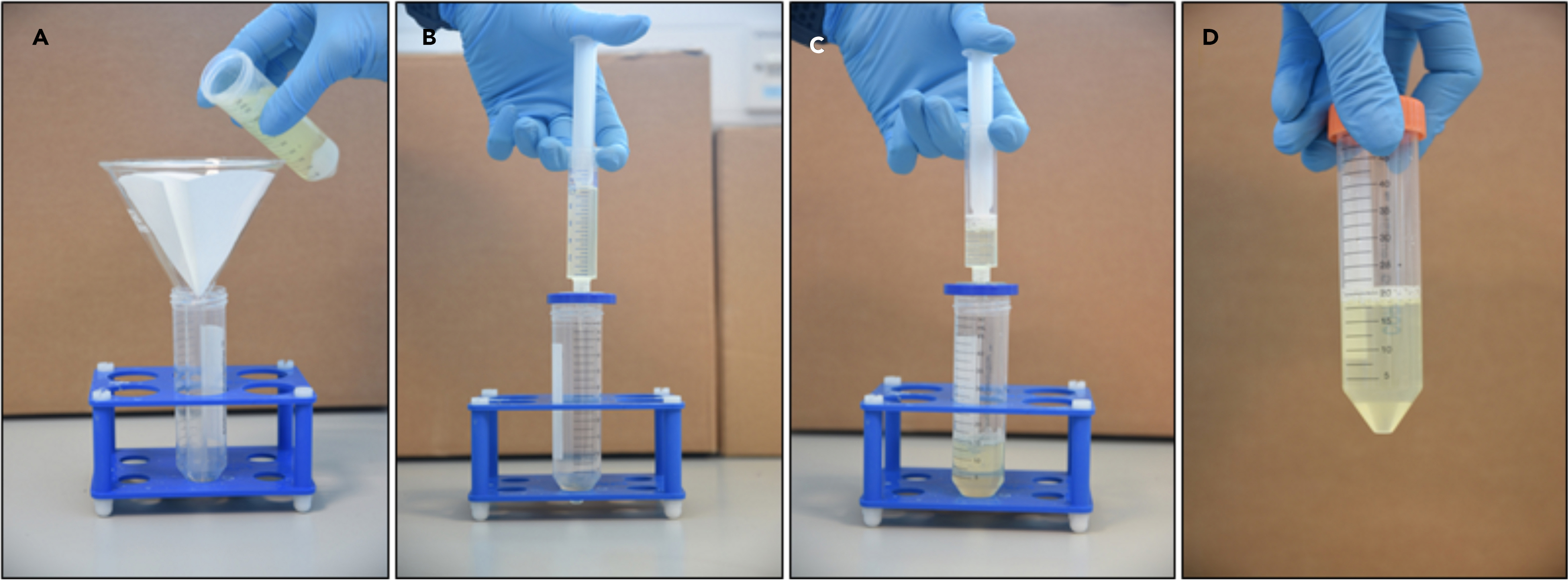 Cell Press: STAR Protocols
