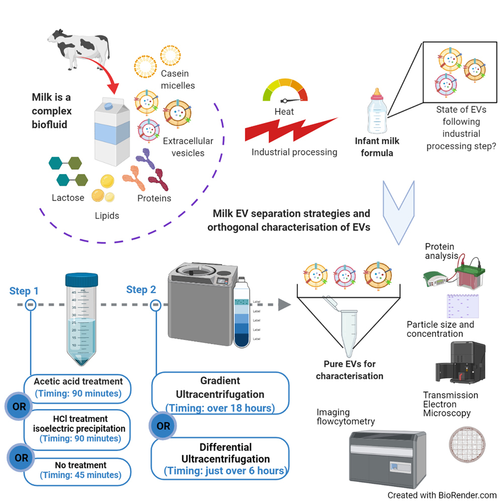 Cell Press: STAR Protocols