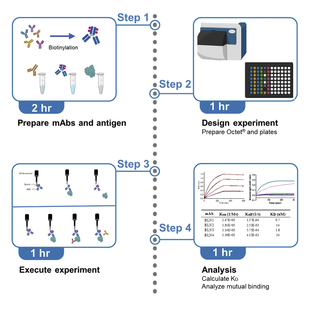 Cell Press: STAR Protocols