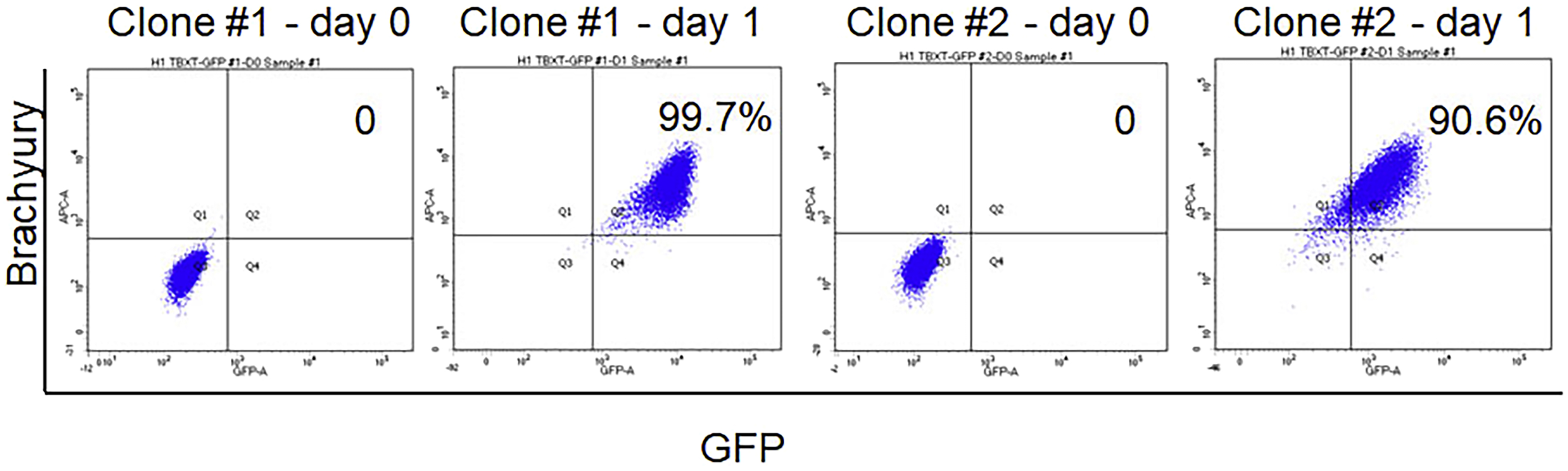 Cell Press: STAR Protocols