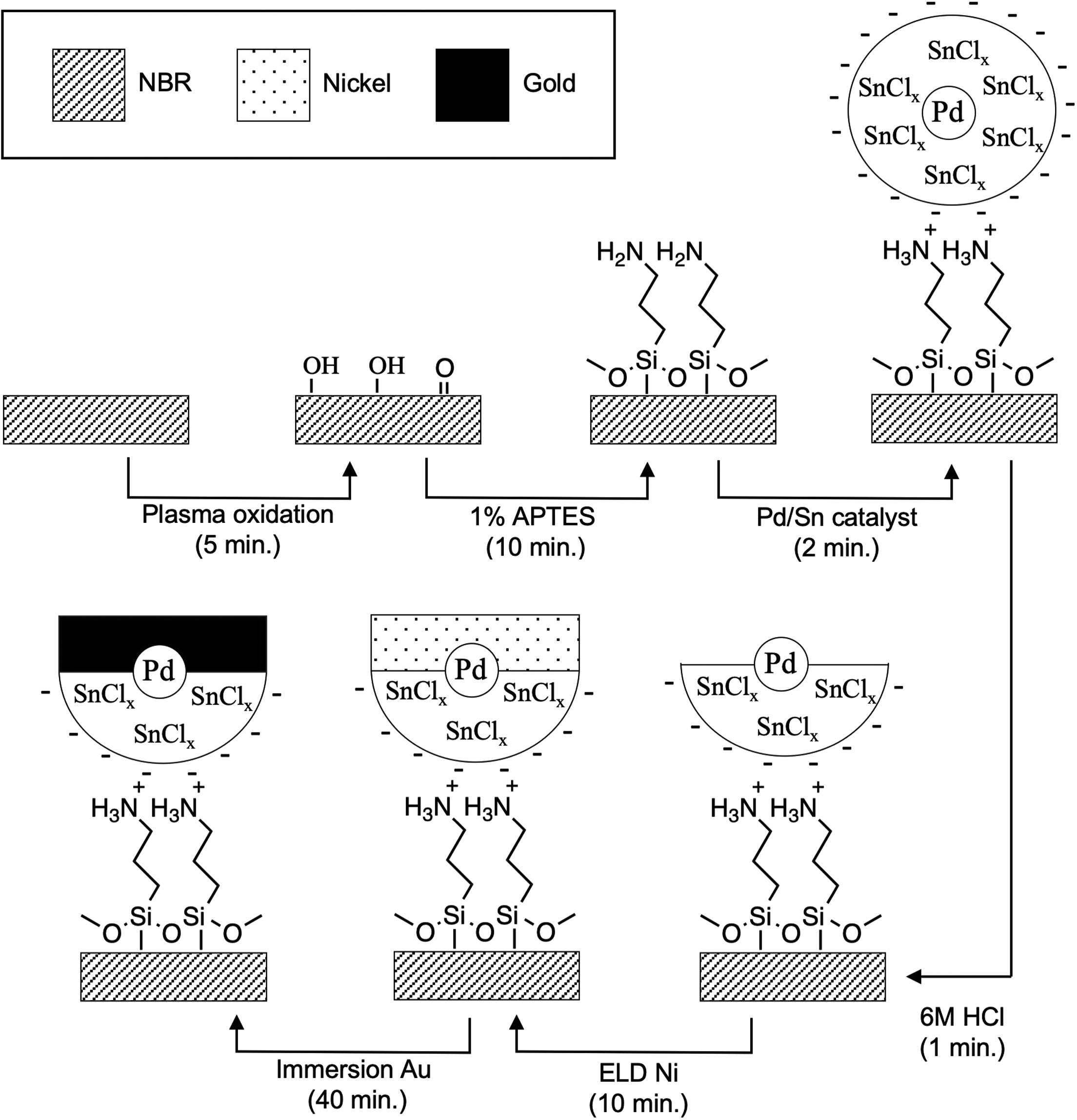 Cell Press: STAR Protocols