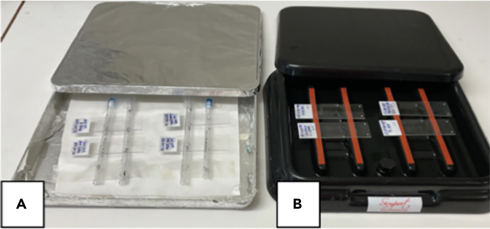 Cell Press: STAR Protocols