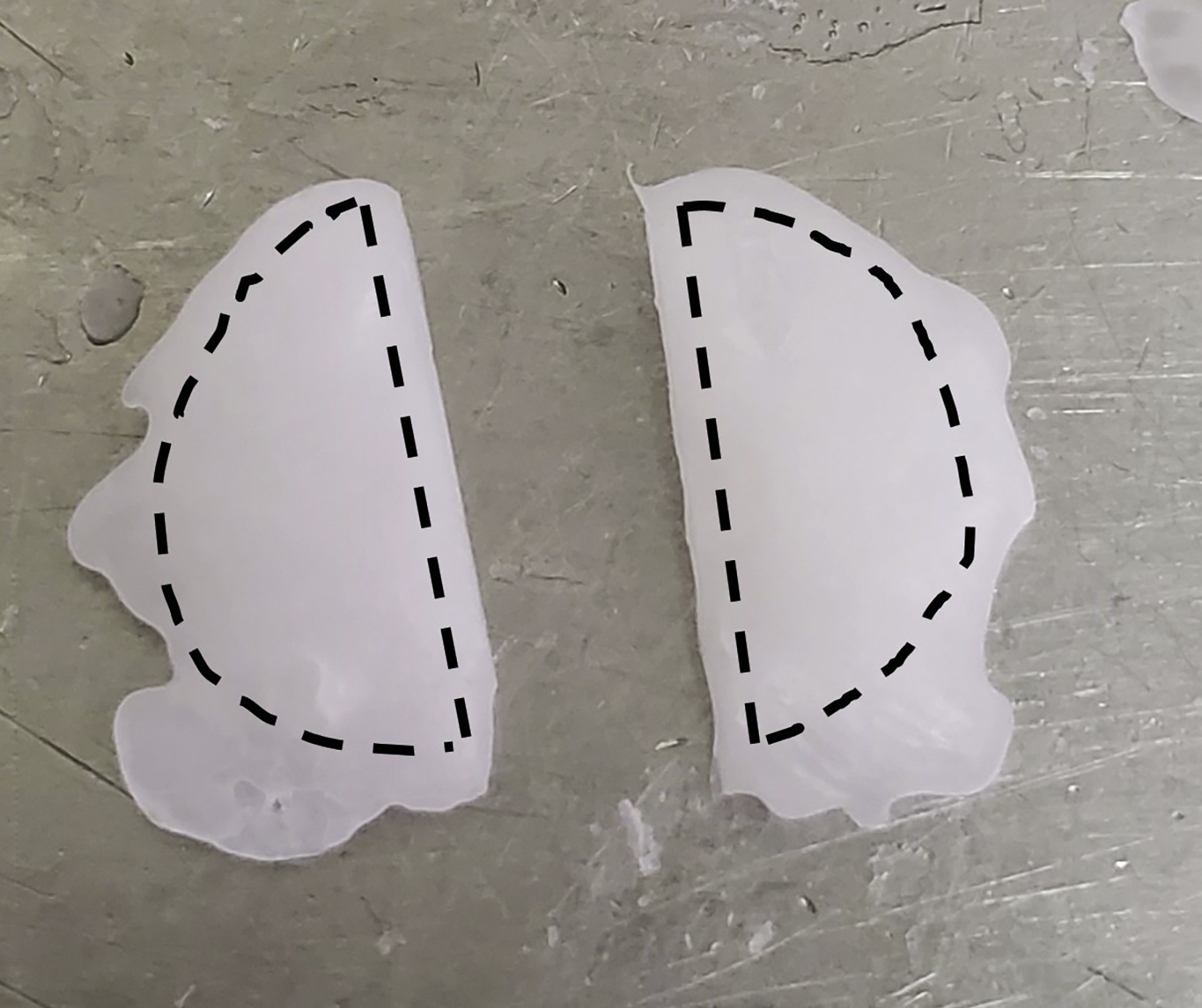 Cell Press: STAR Protocols