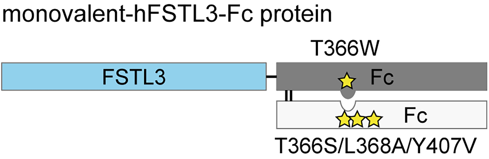 Cell Press: STAR Protocols
