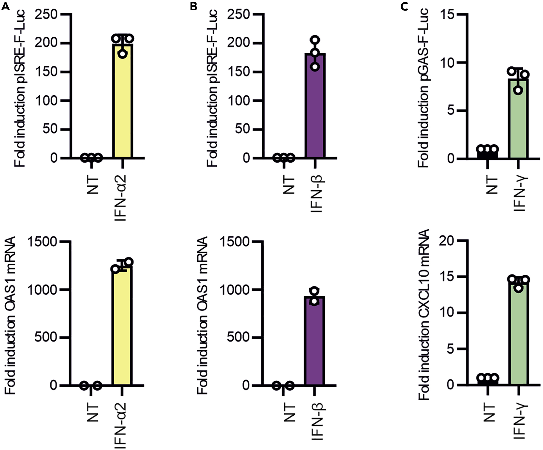 Cell Press: STAR Protocols