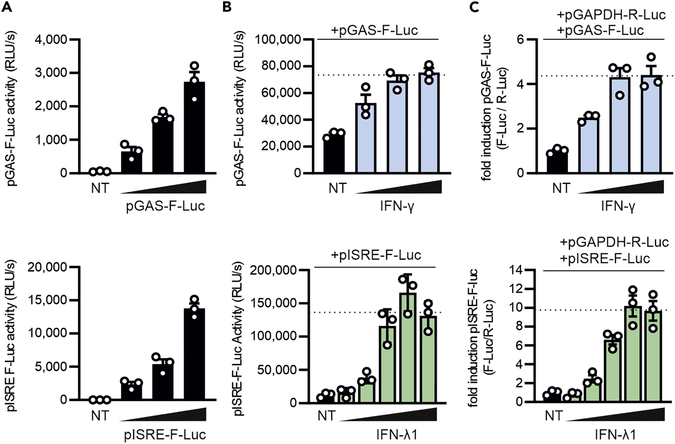 Cell Press: STAR Protocols