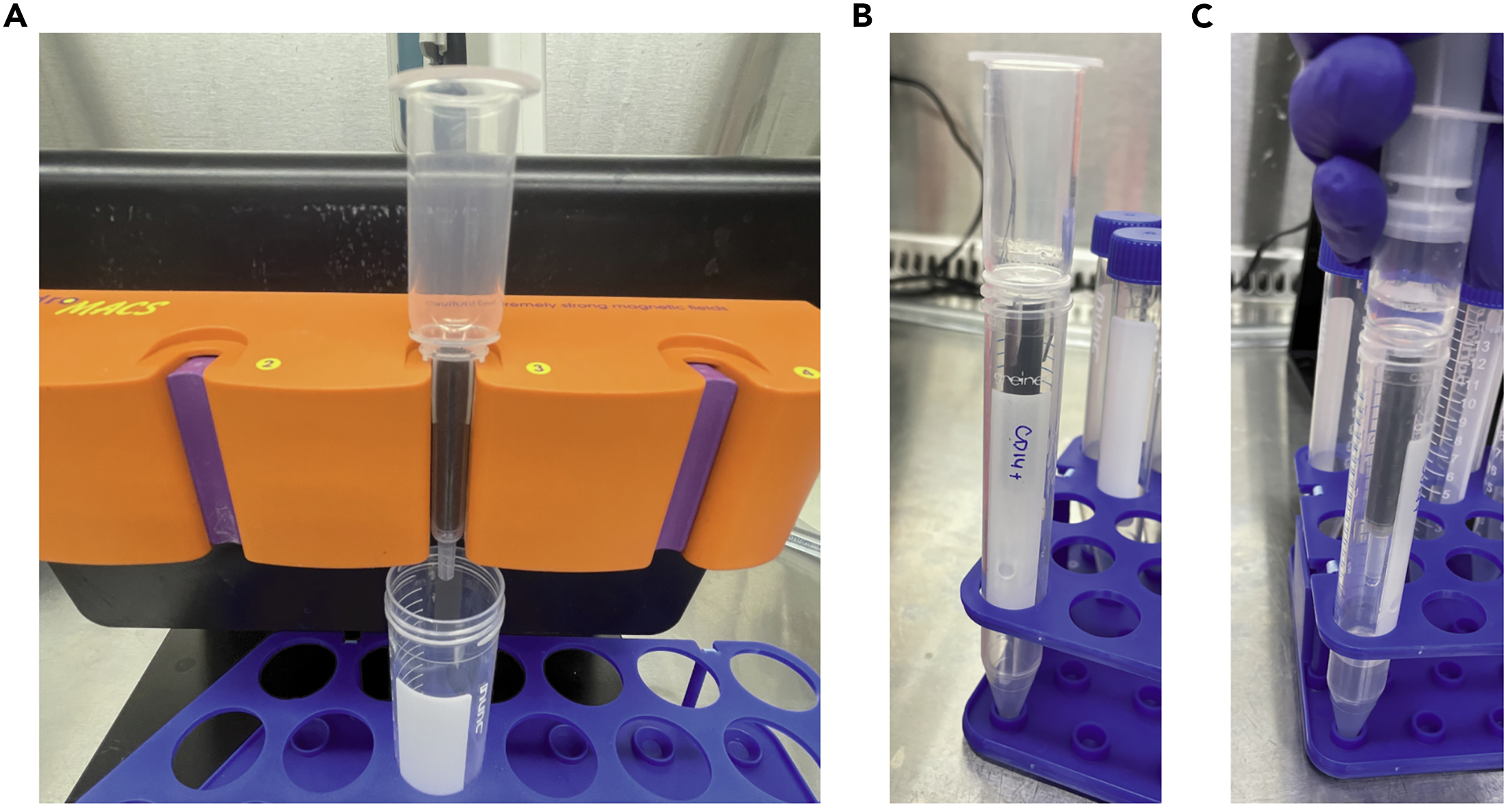 Cell Press: STAR Protocols