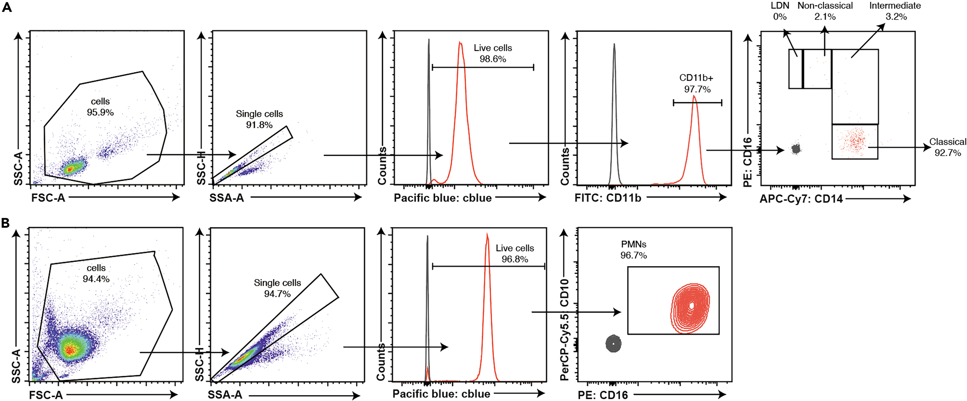 Cell Press: STAR Protocols