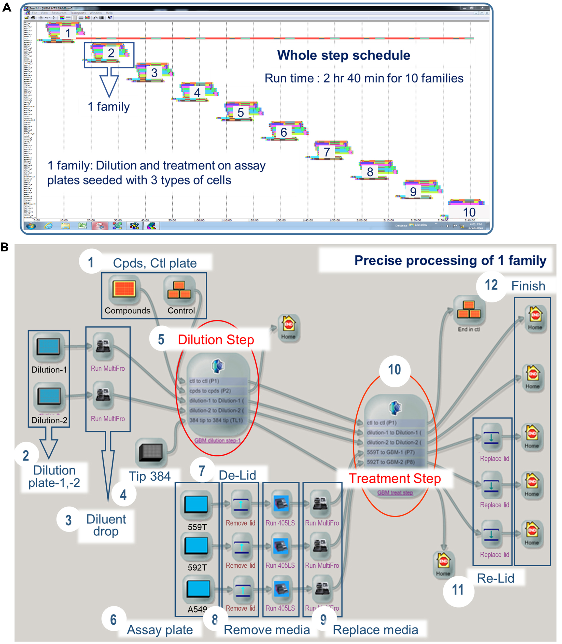 Cell Press: STAR Protocols