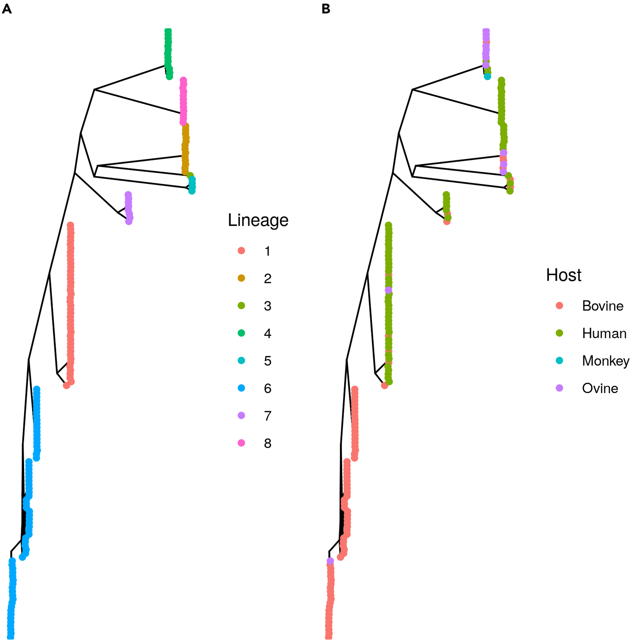 Cell Press: STAR Protocols