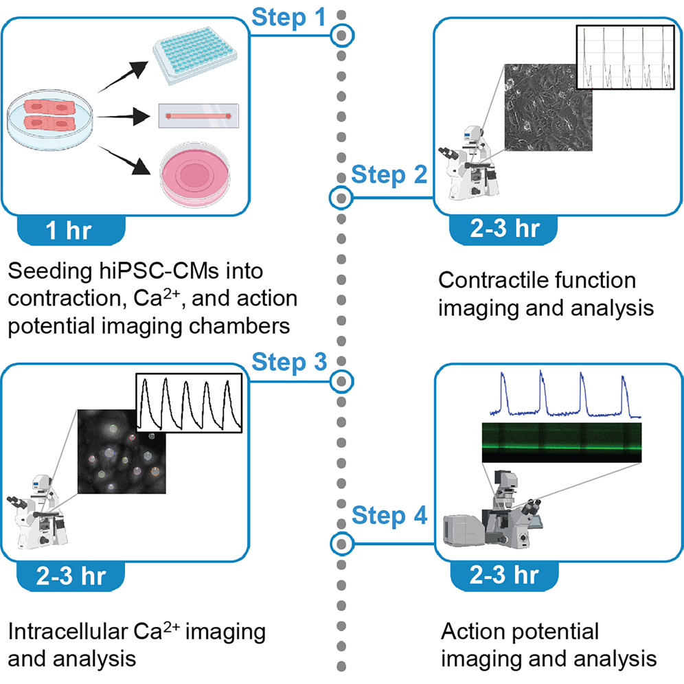 Cell Press: STAR Protocols