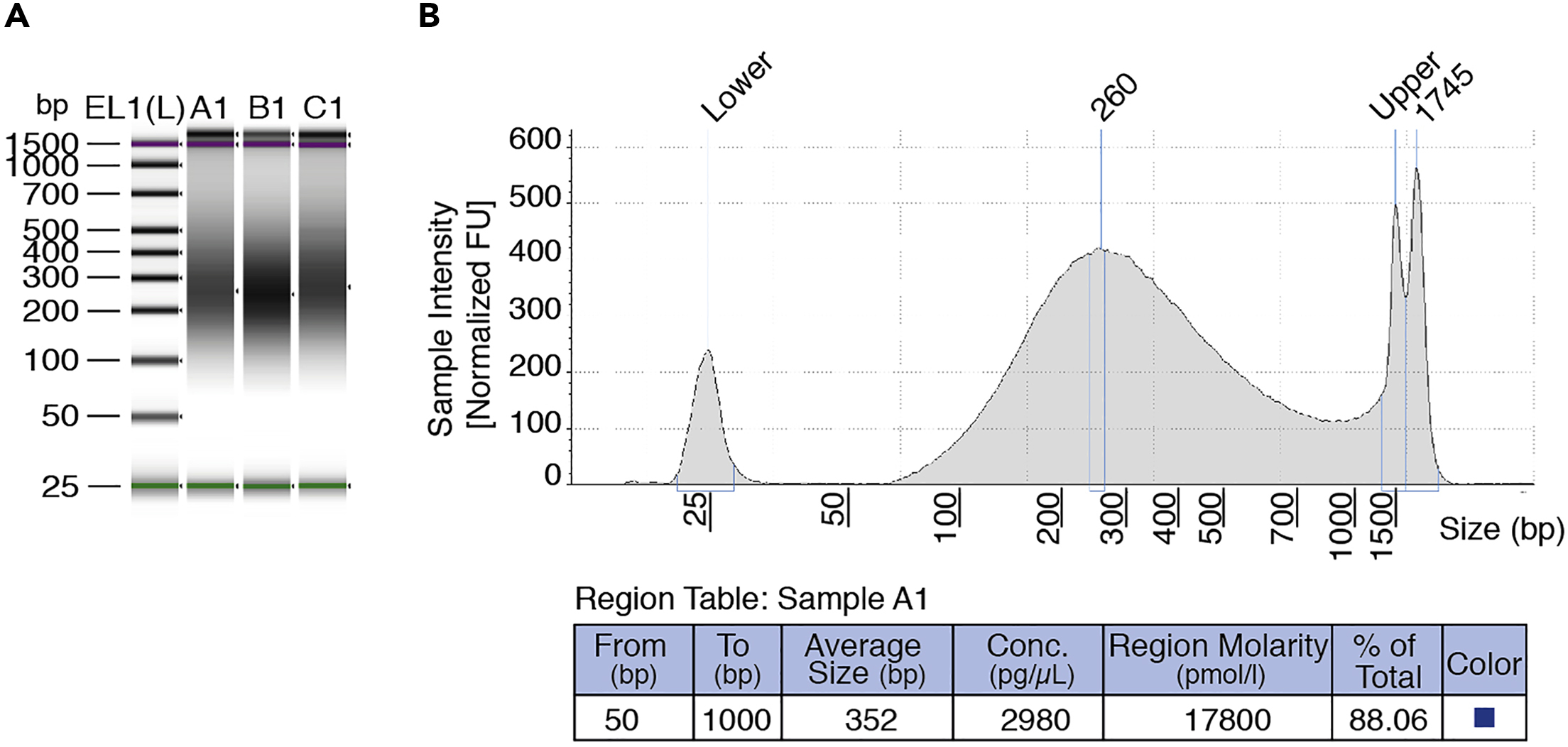 Cell Press: STAR Protocols