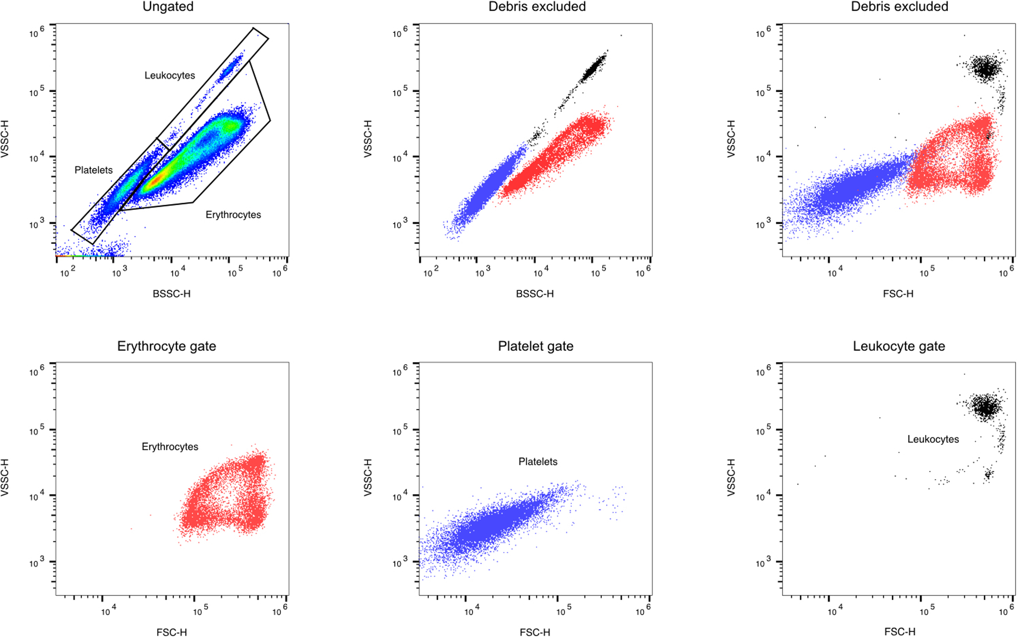 Cell Press: STAR Protocols