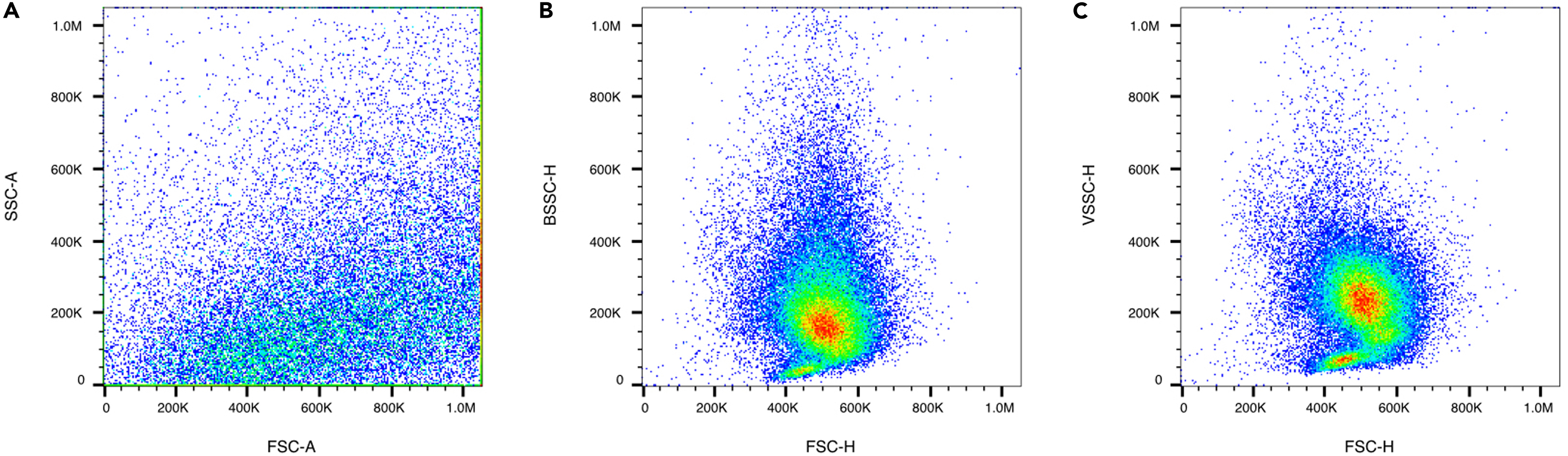 Cell Press: STAR Protocols