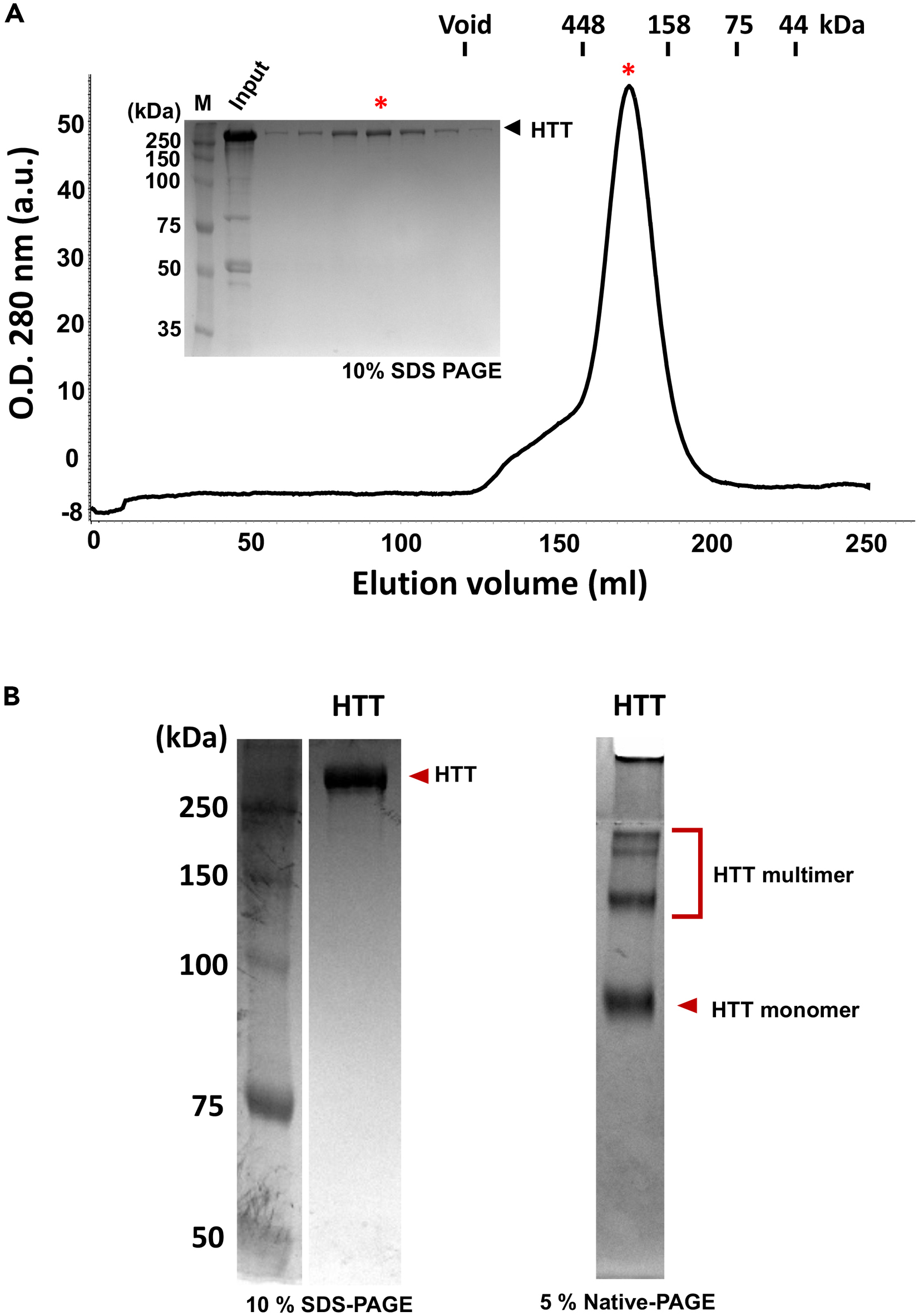 Cell Press: STAR Protocols