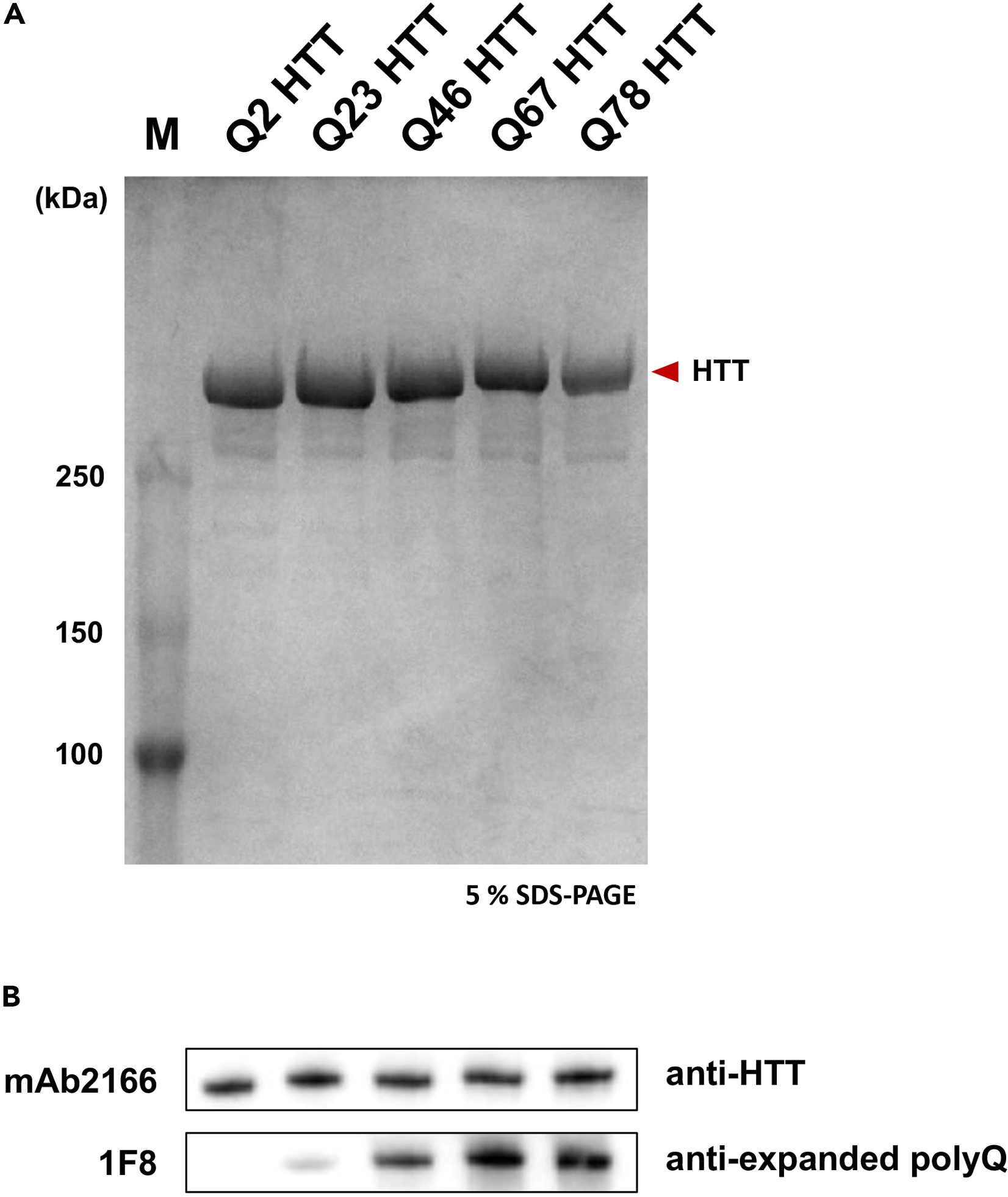 Cell Press: STAR Protocols
