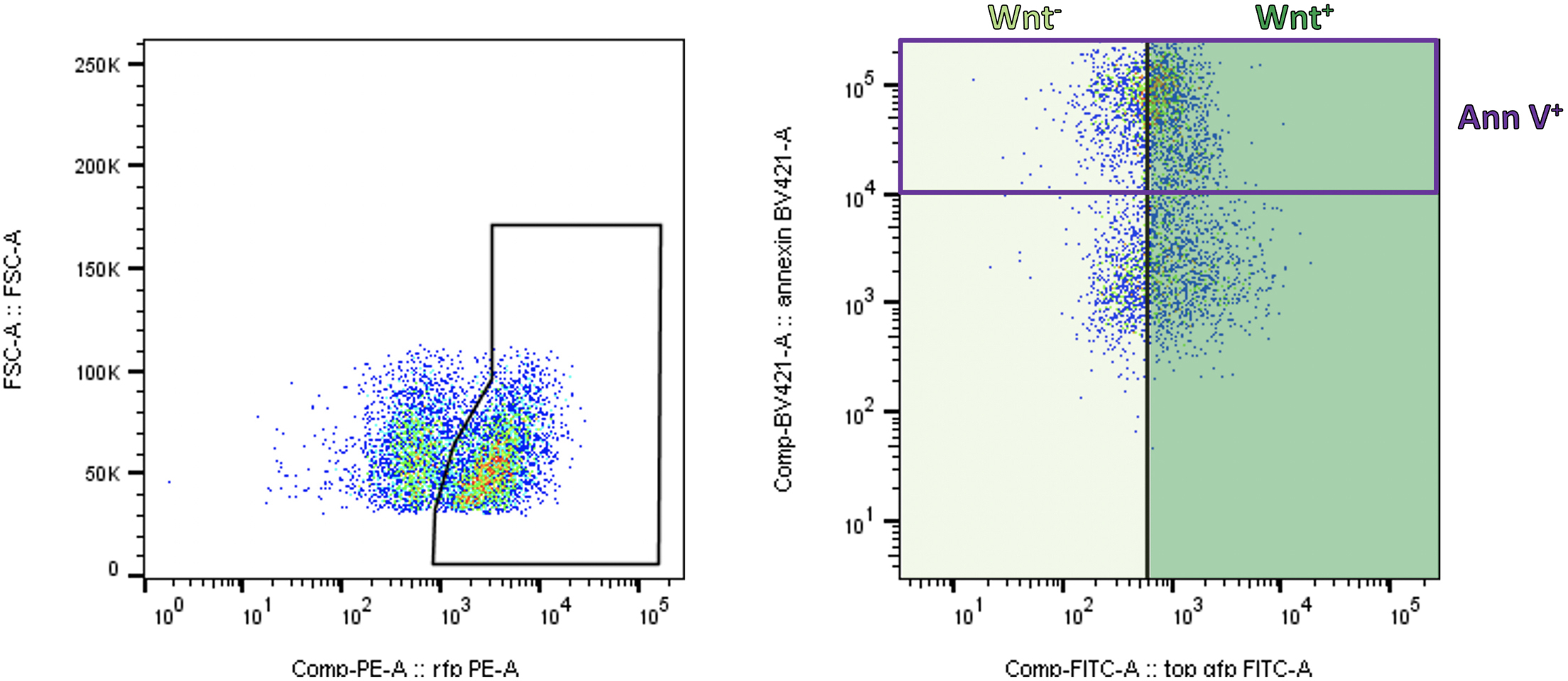 Cell Press: STAR Protocols