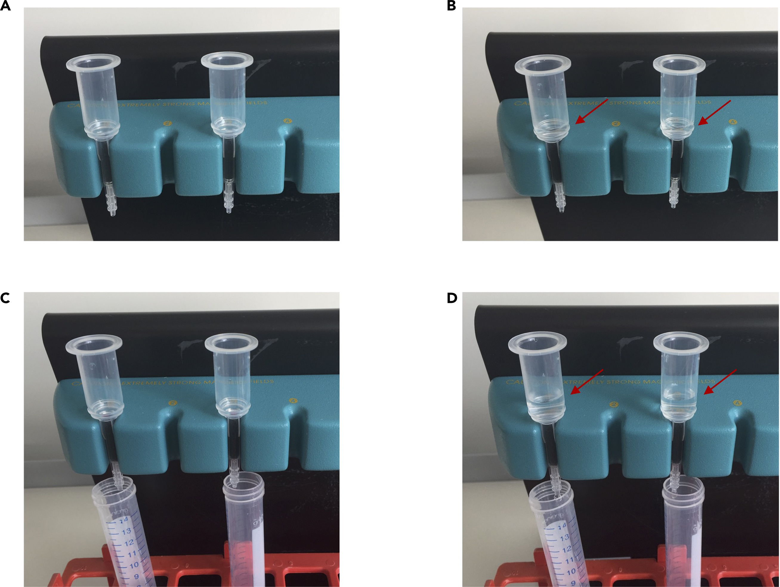 Cell Press: STAR Protocols