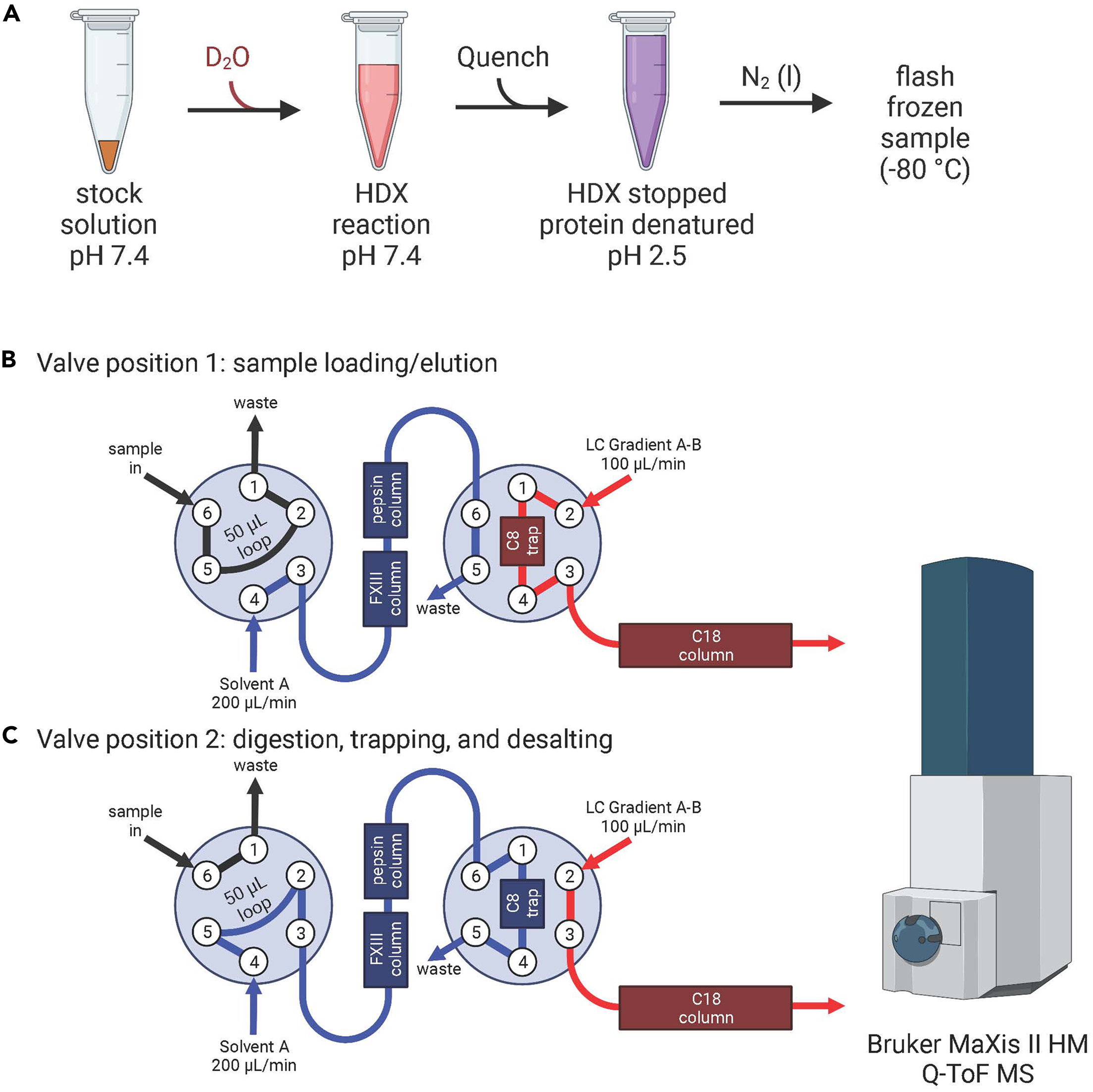 Cell Press: STAR Protocols