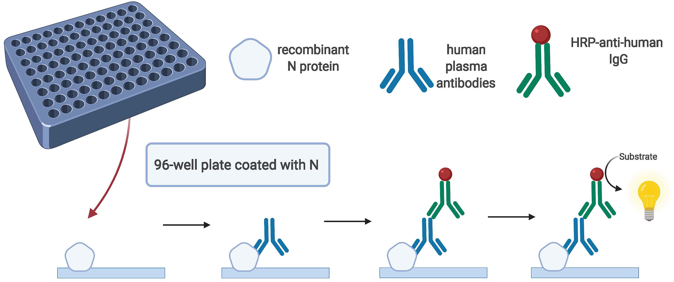 Cell Press: STAR Protocols