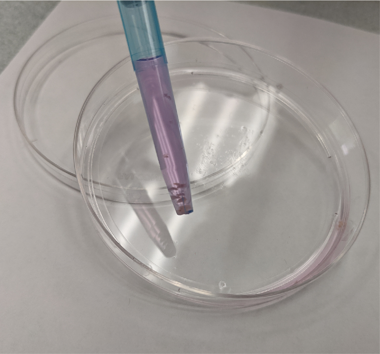 Cell Press: STAR Protocols