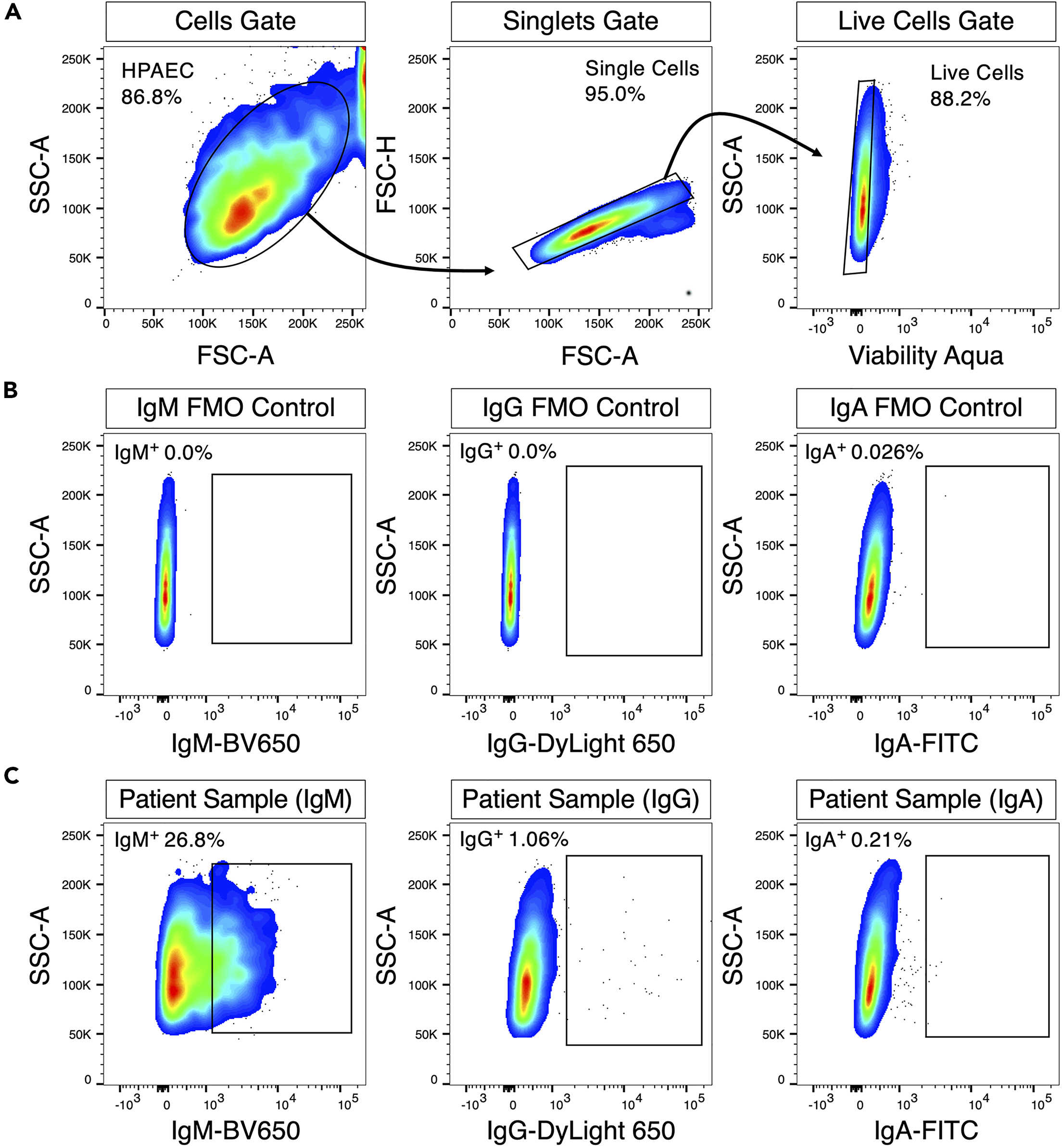 Cell Press: STAR Protocols