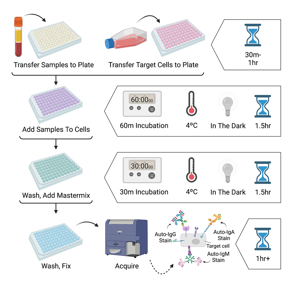 Cell Press: STAR Protocols