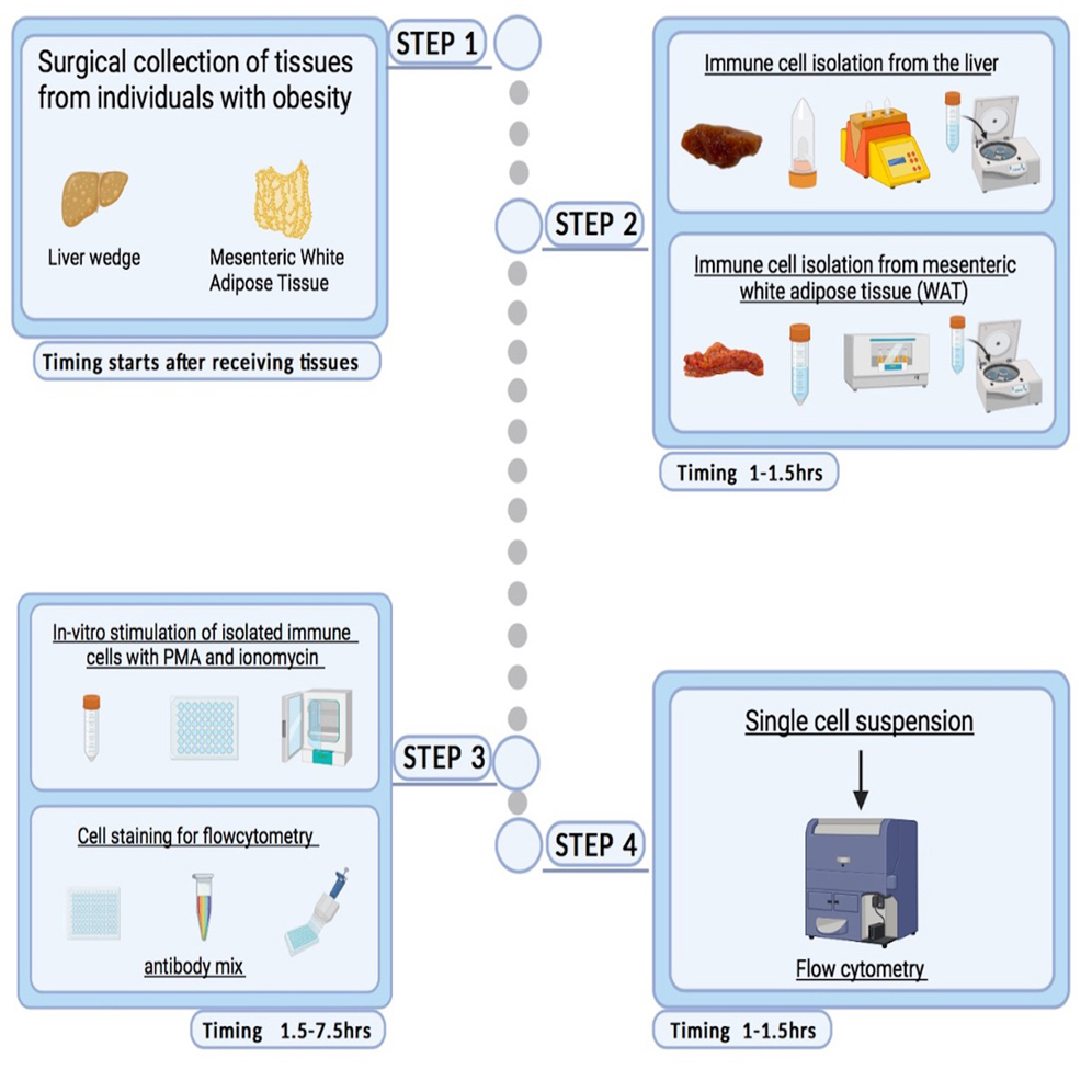 Cell Press: STAR Protocols
