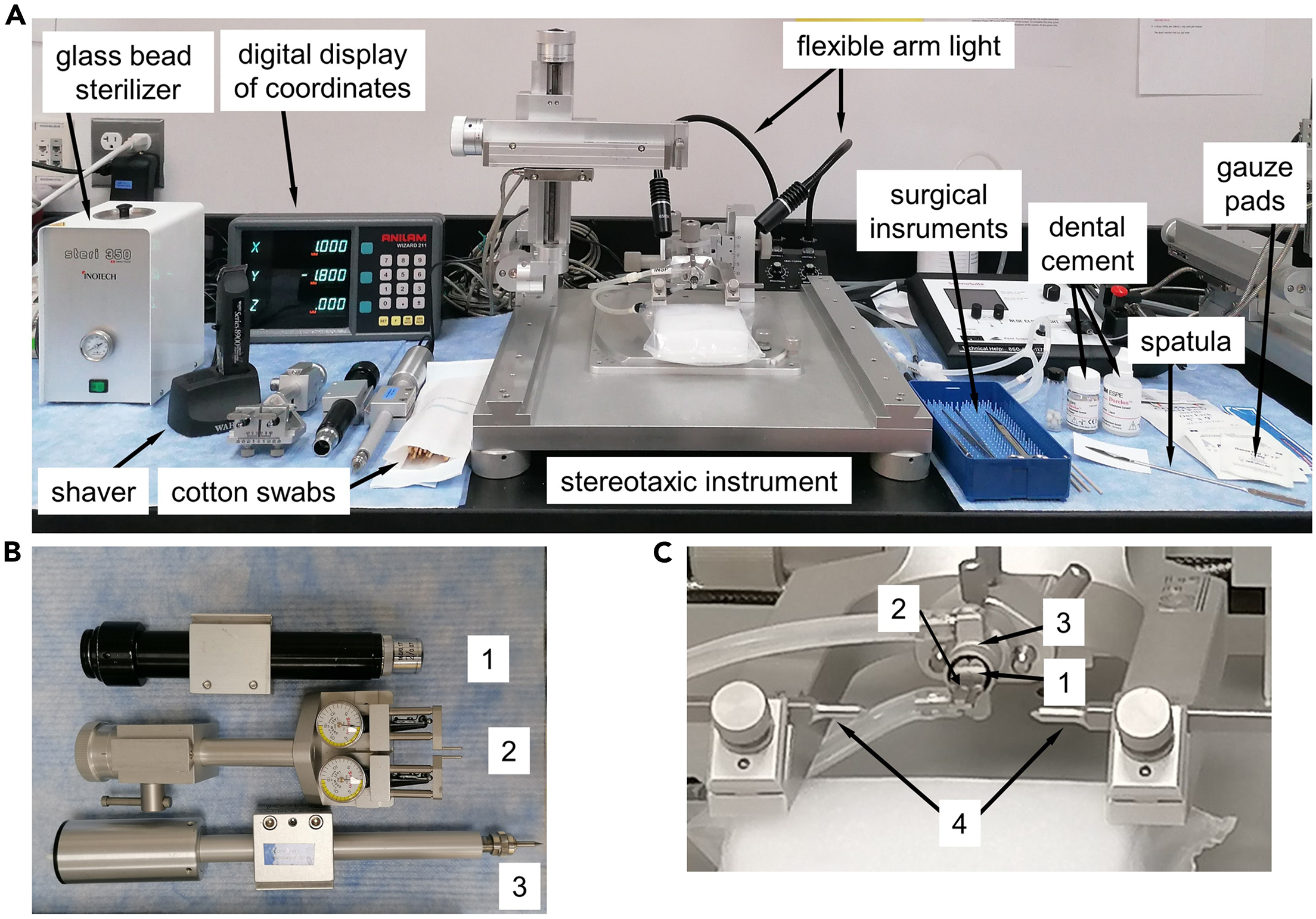 Cell Press: STAR Protocols
