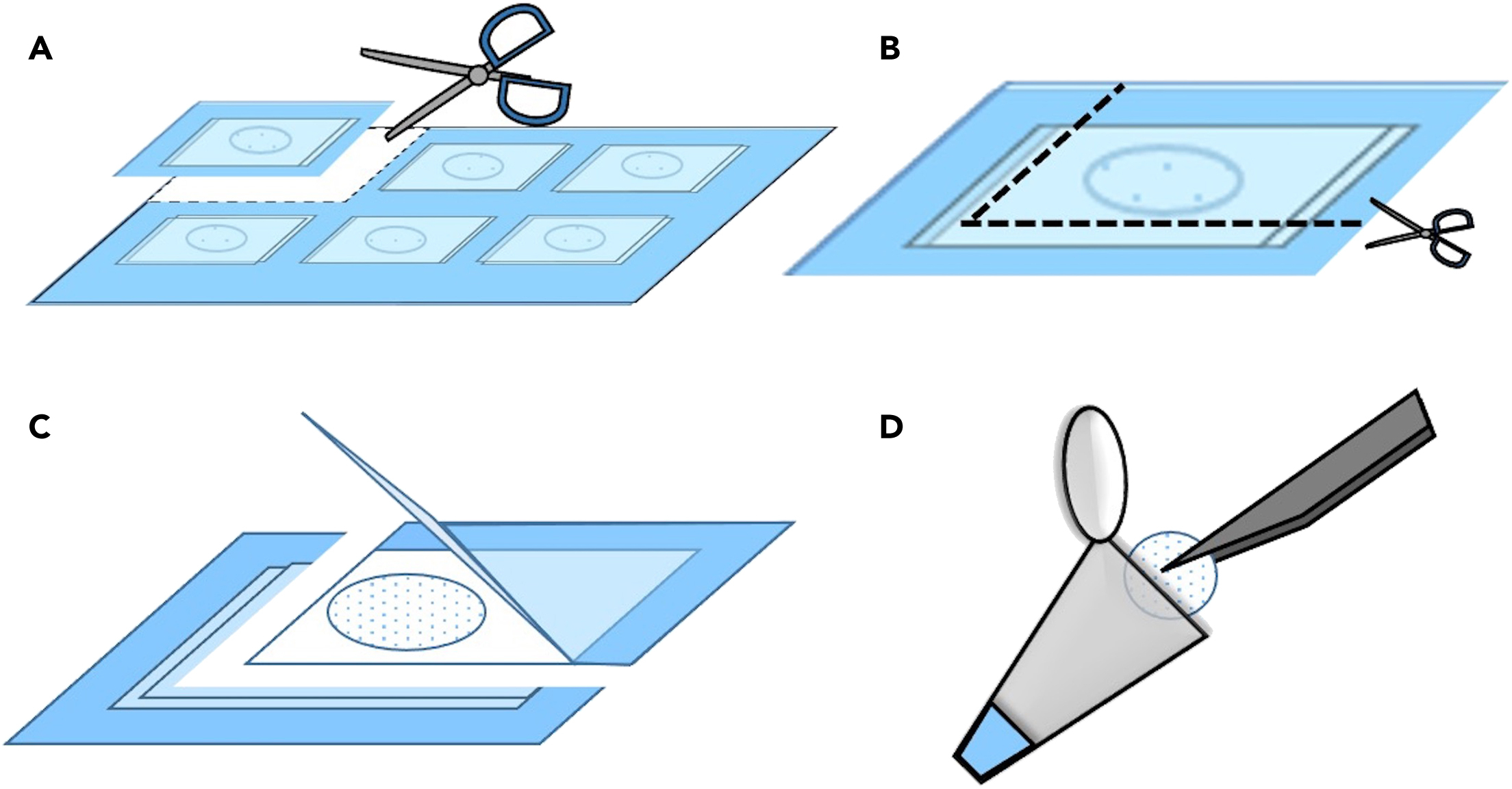 Cell Press: STAR Protocols