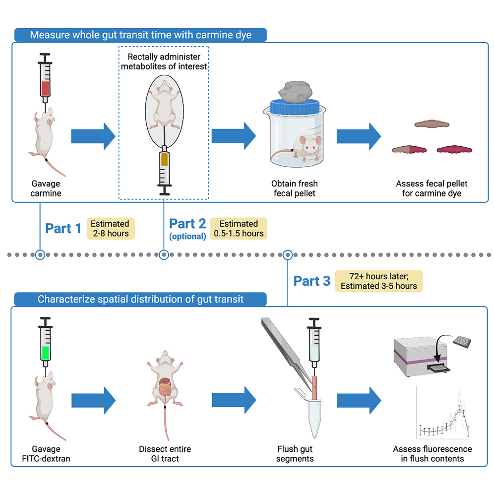 Cell Press: STAR Protocols
