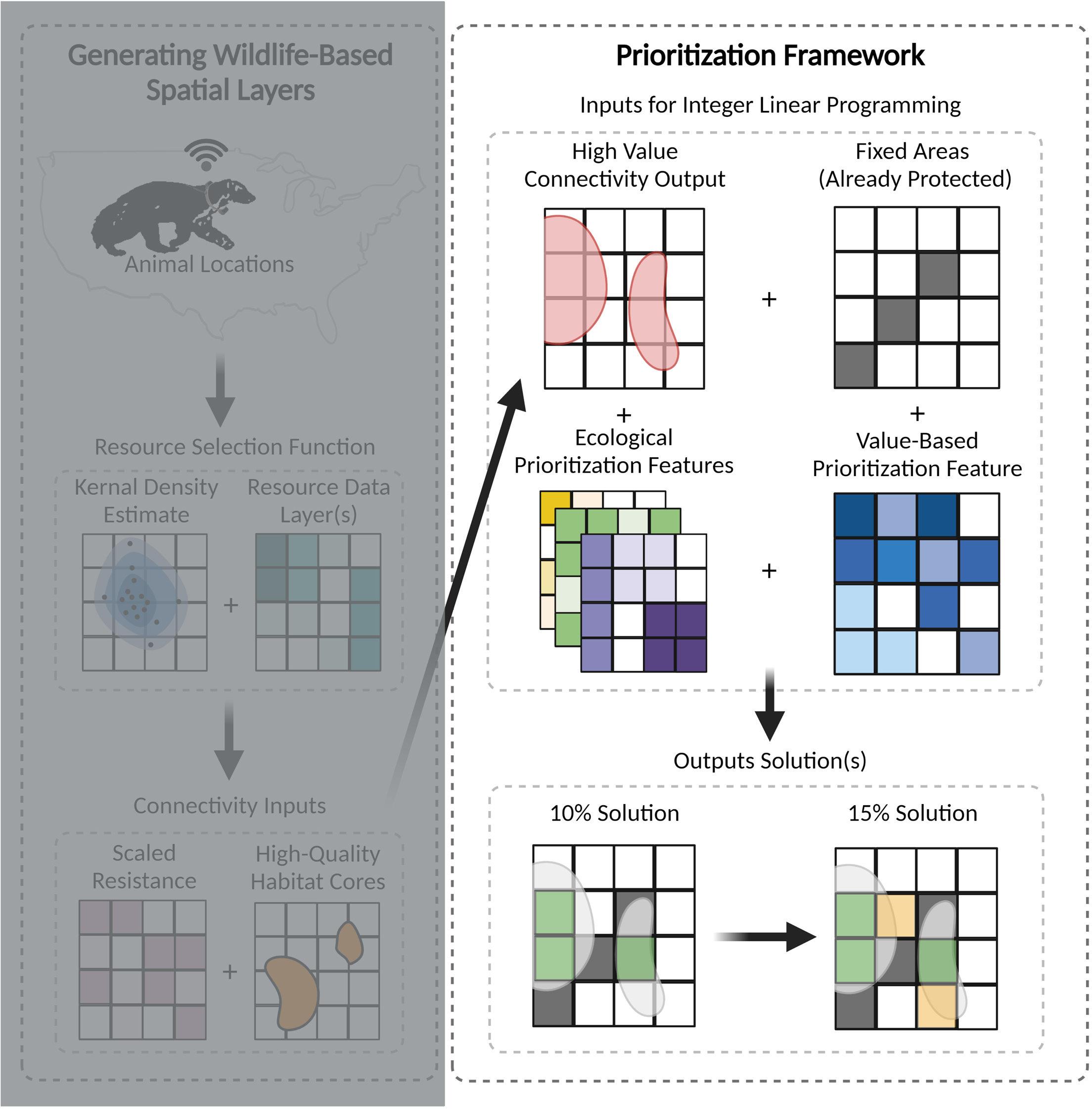 Cell Press: STAR Protocols