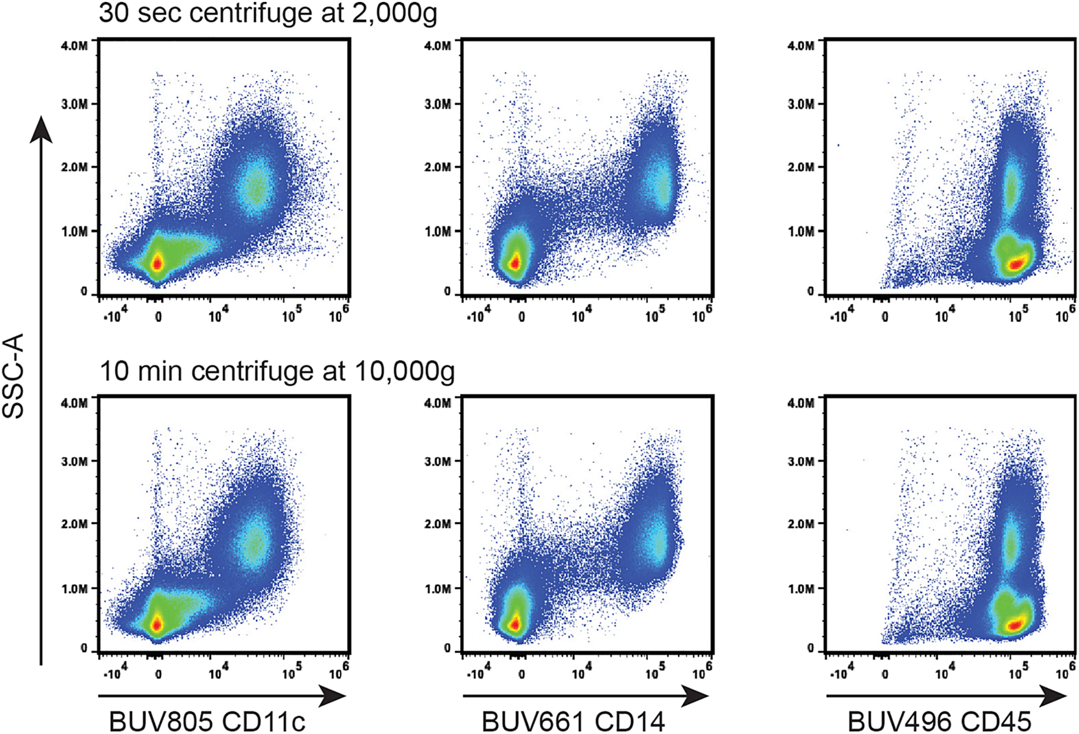 Cell Press: STAR Protocols