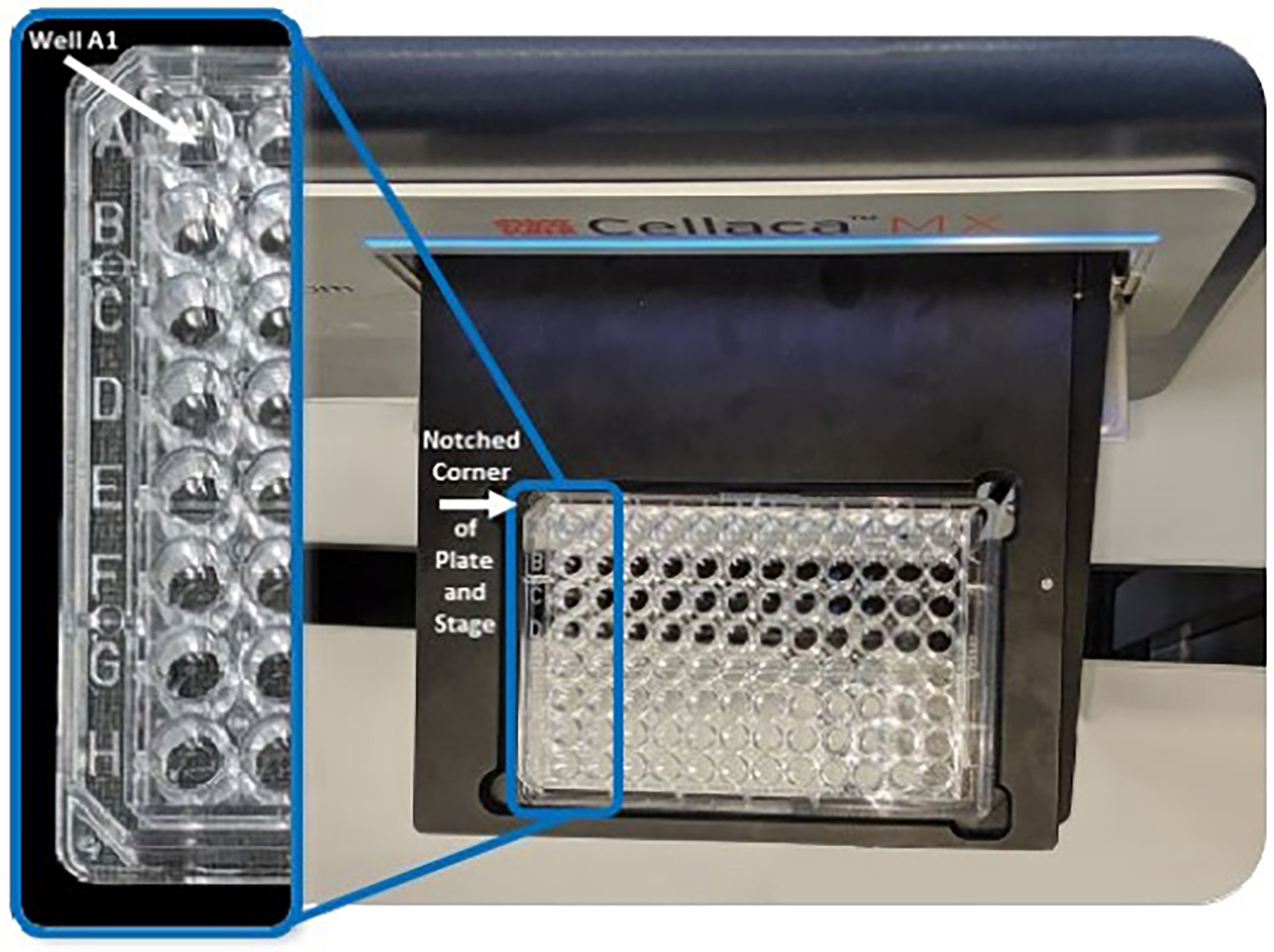 Cell Press: STAR Protocols