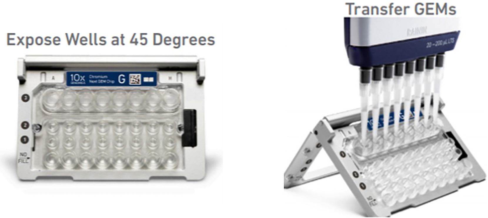 Cell Press: STAR Protocols