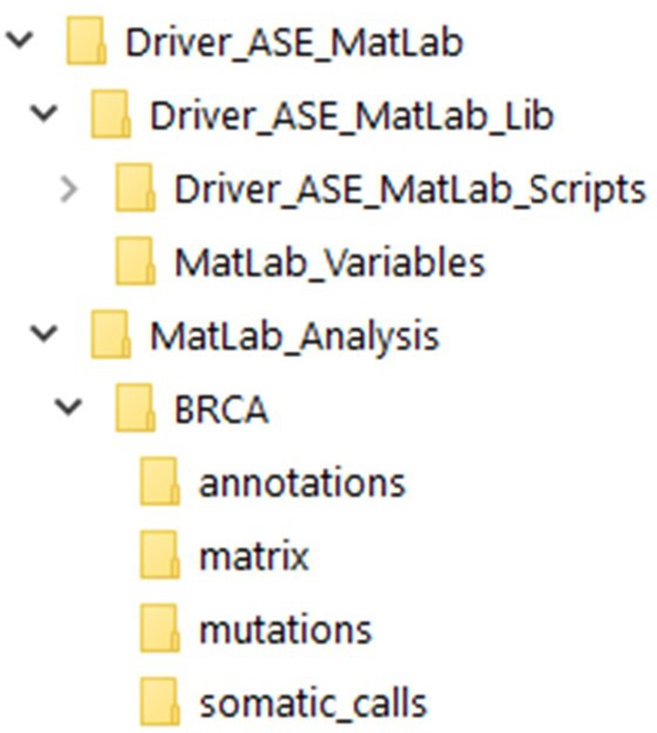 Cell Press: STAR Protocols