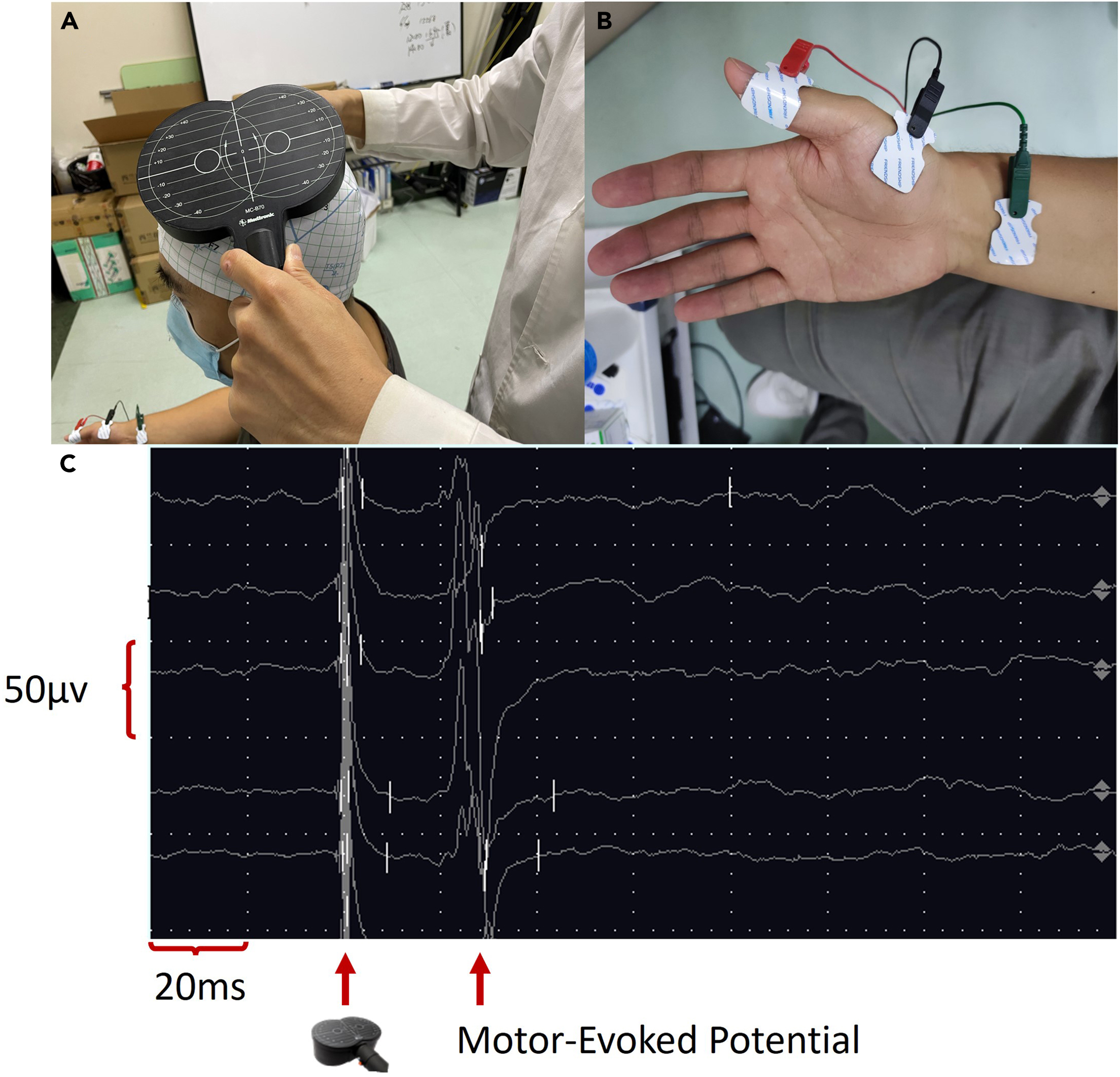Cell Press: STAR Protocols