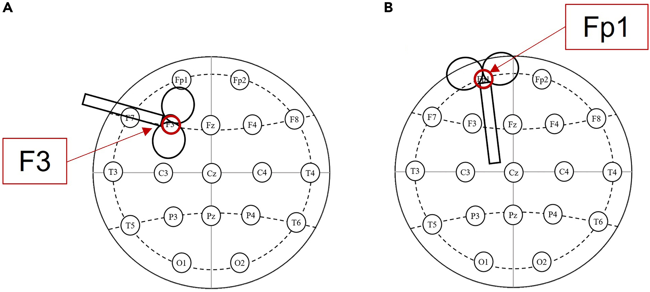 Cell Press: STAR Protocols