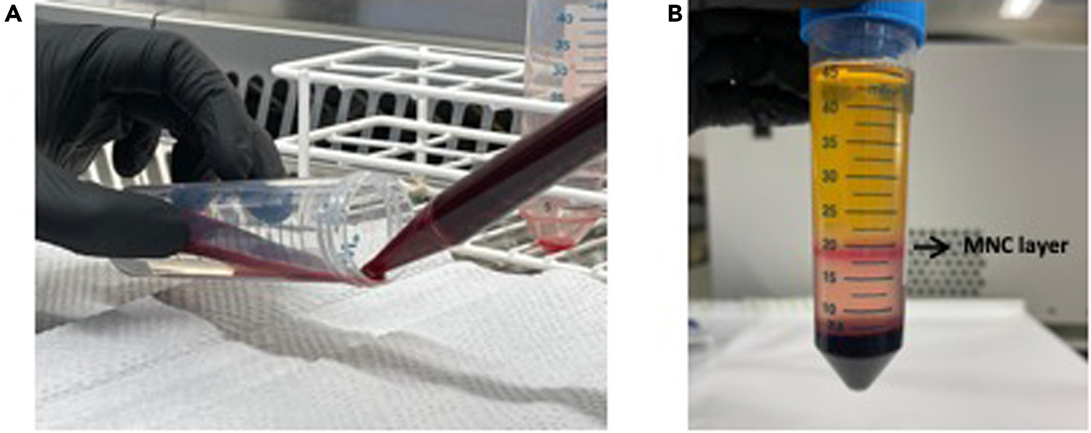 Cell Press: STAR Protocols