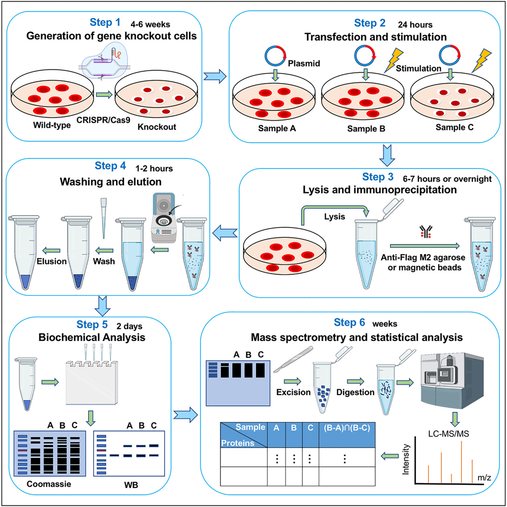 Cell Press: STAR Protocols
