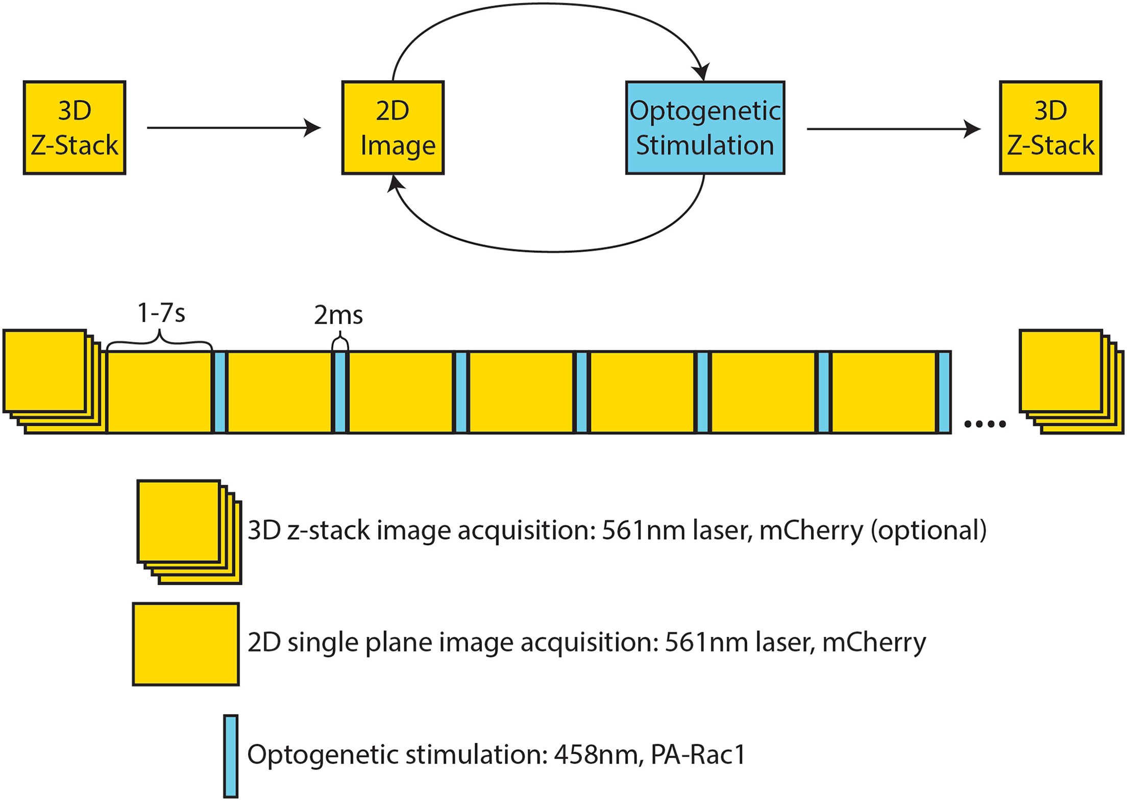 Cell Press: STAR Protocols