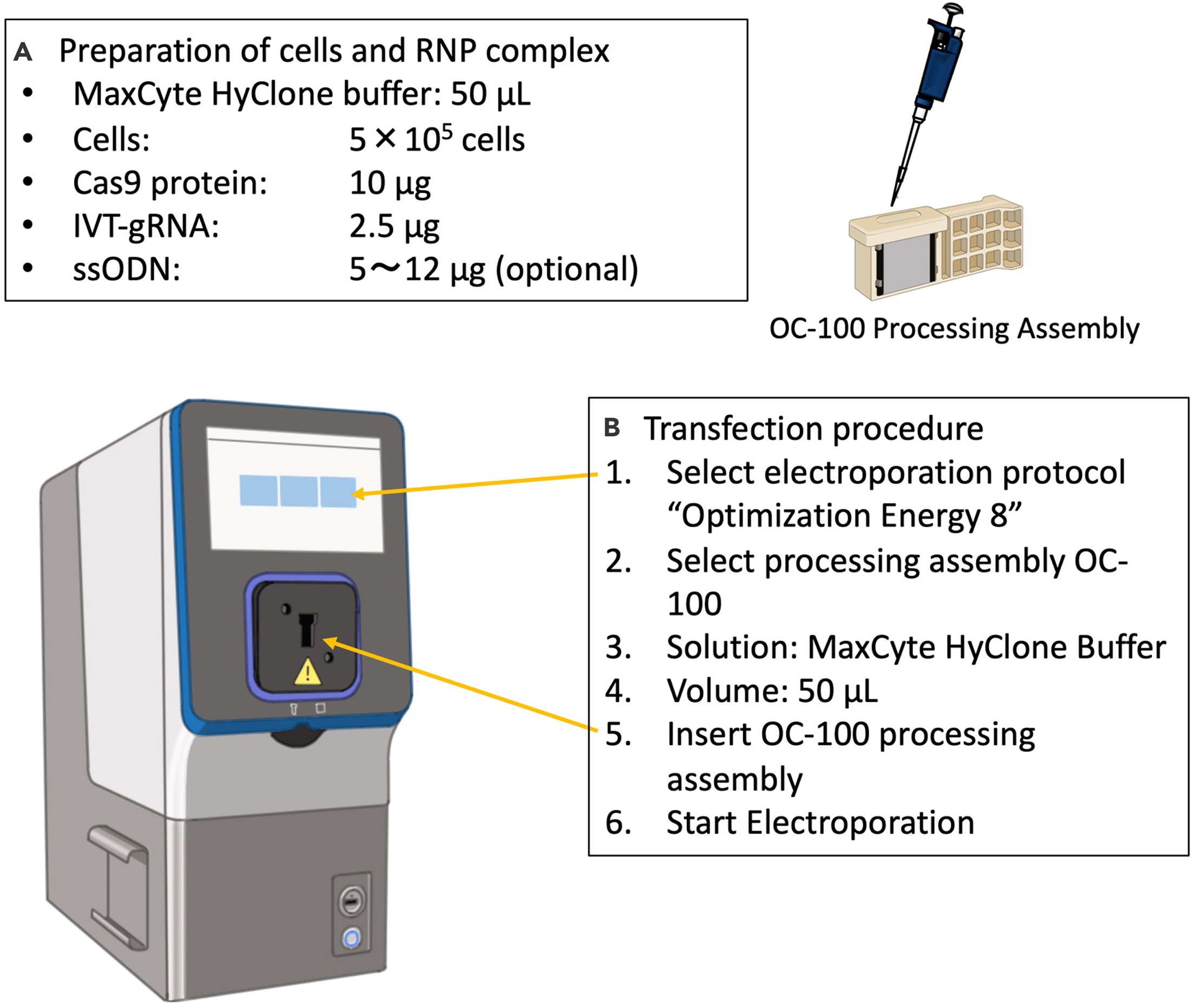 Cell Press: STAR Protocols