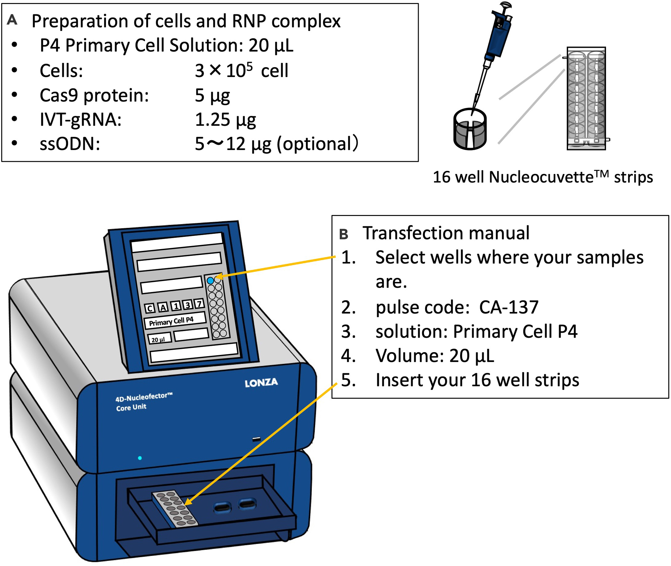 Cell Press: STAR Protocols