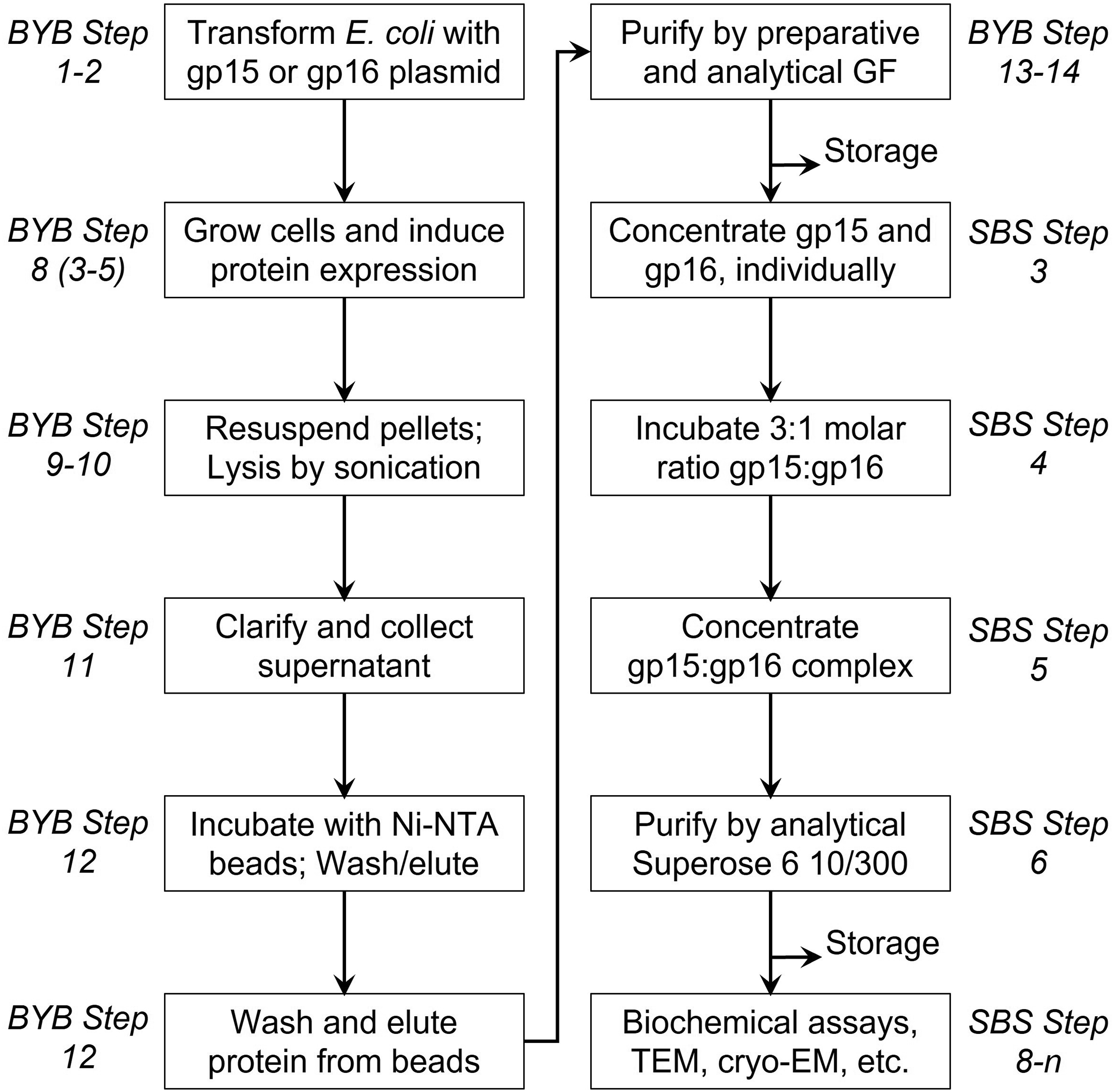 Cell Press: STAR Protocols