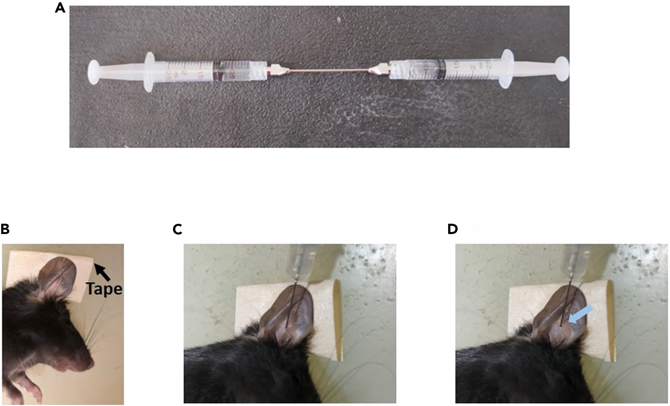 Cell Press: STAR Protocols