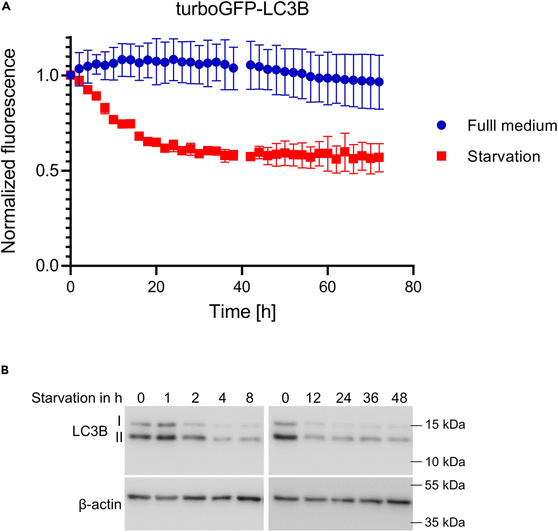 Cell Press: STAR Protocols