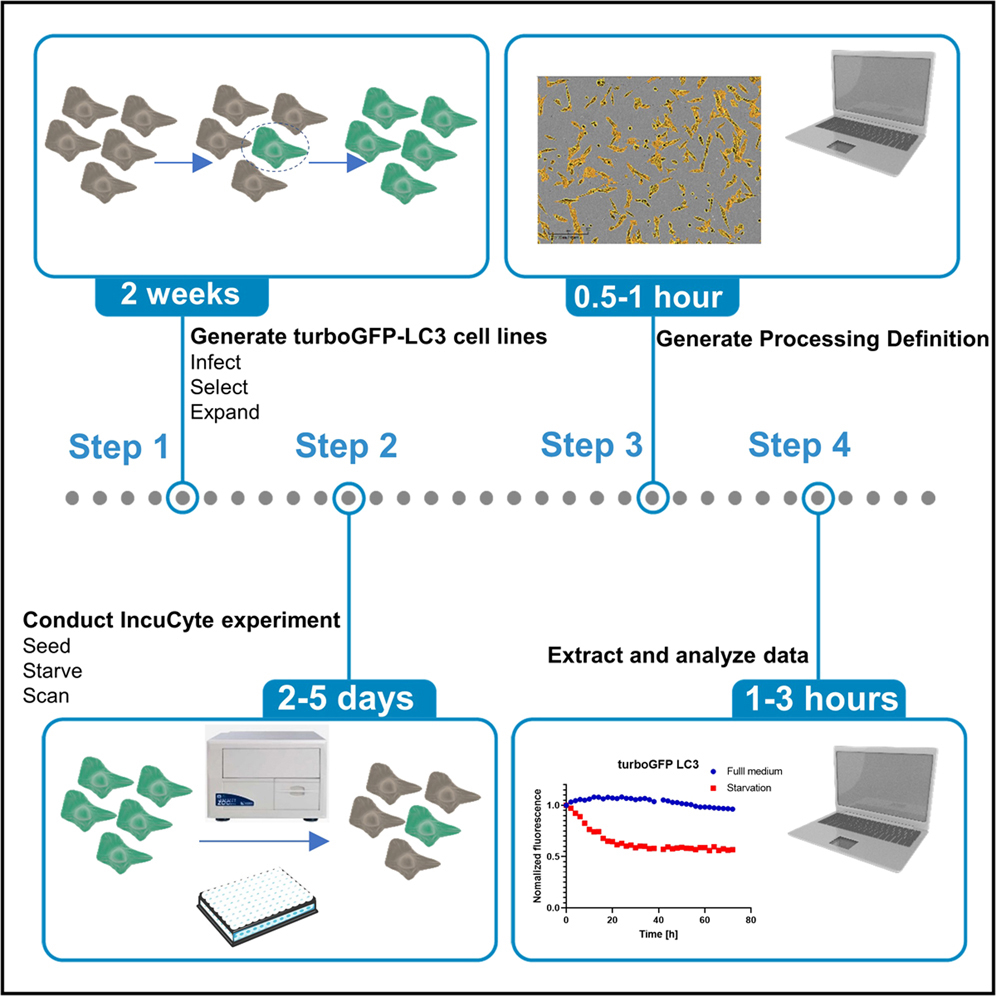 Cell Press: STAR Protocols