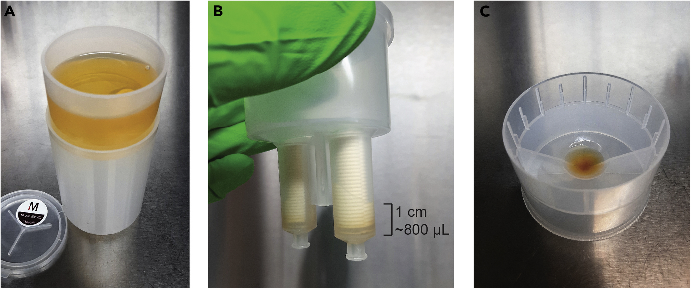 Cell Press: STAR Protocols